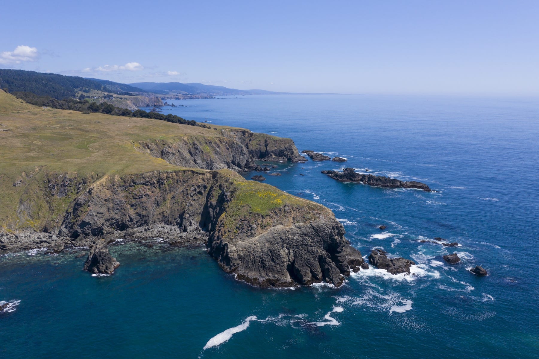 Navarro Point Preserve – Meet Mendocino